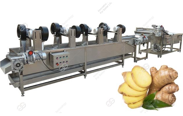 Ginger Cleaning and Cutting Machine|Ginger Processing Equipment