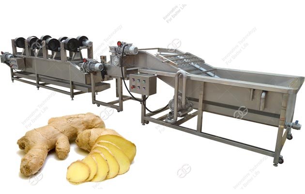 Ginger Cleaning and Cutting Machine|Ginger Processing Equipment