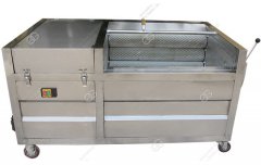 More Information About Brush Type Washing Machine